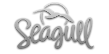 Seagull Guitars Reviewed